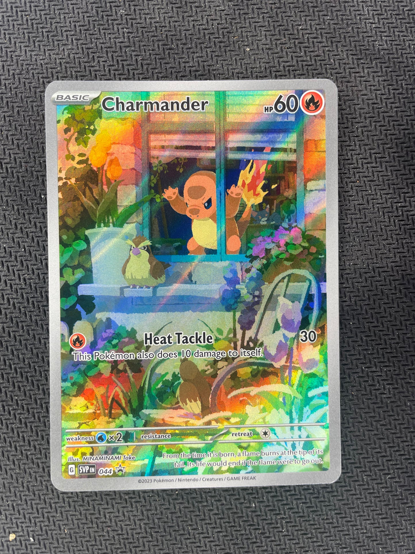 2023 Obsidian Flames SVP044 Charmander ETB Promo – Mint Collectables