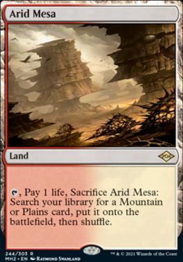2021 MTG Modern Horizons 2 244/303 Arid Mesa FOIL